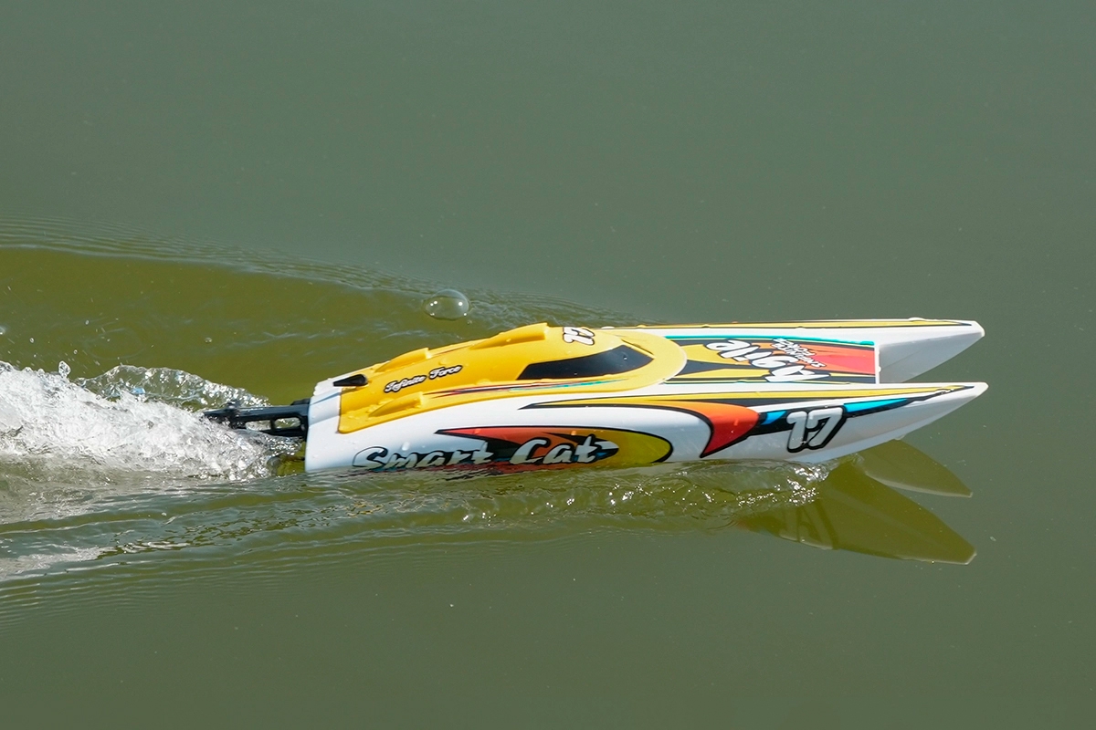 Smart Cat 2.4G RTR | Reichard Modelsport